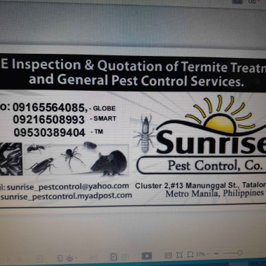 The 10 best exterminators in Quezon City - Last Updated December 2024 ...